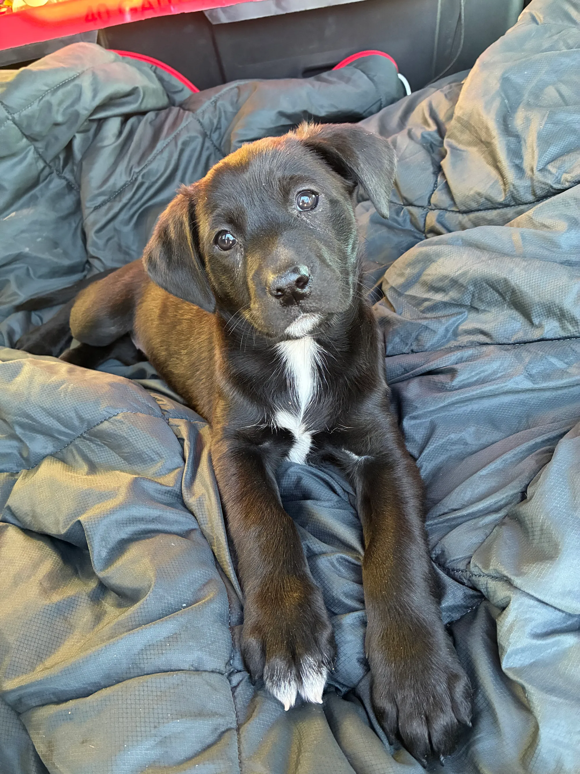 Zombie Apocalypse Survival Kit Checklist! 50+ Survival Gear Items You ...