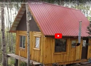 Couple Builds AWESOME "Stockade Style" Vertical Log Off Grid Cabin in ...